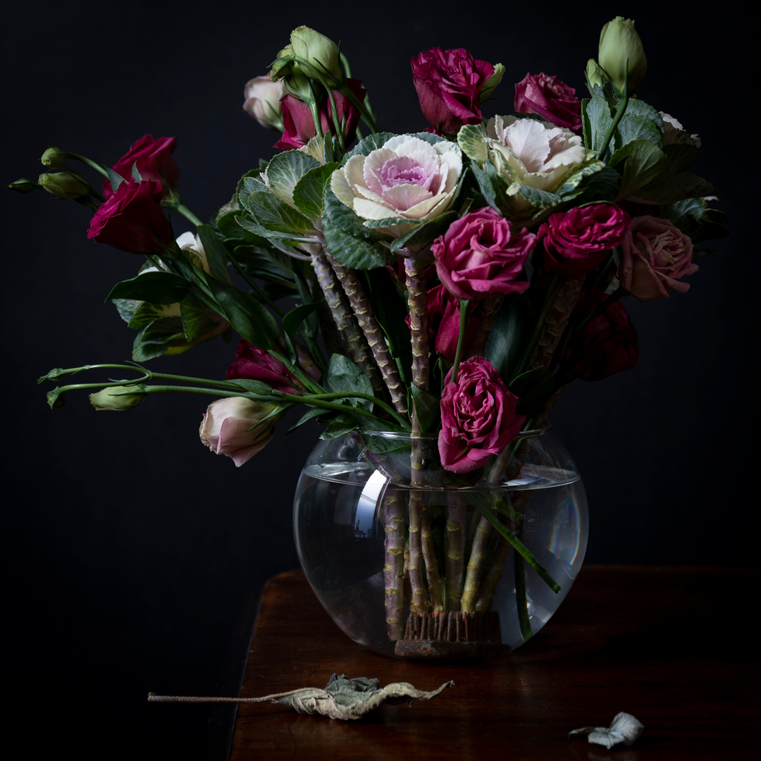 Resonant Horizons: Still life collection | StreetCandy